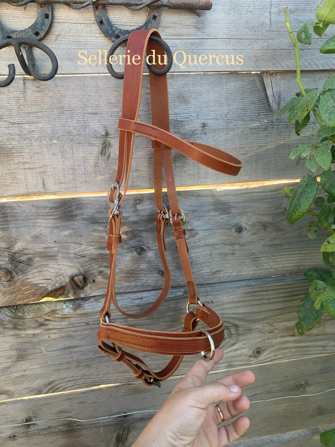 CAVECON DE PRESENTATION – sellerie du Quercus